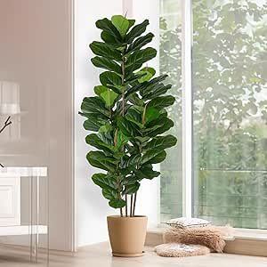 Amazon.com: Yepdin Faux Fiddle Leaf Fig Tree 6 FT - Artificial Ficus Tree with Tall Artificial ...
