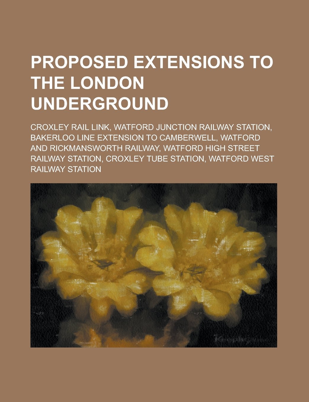 Buy Proposed Extensions to the London Underground: Croxley Rail Link ...