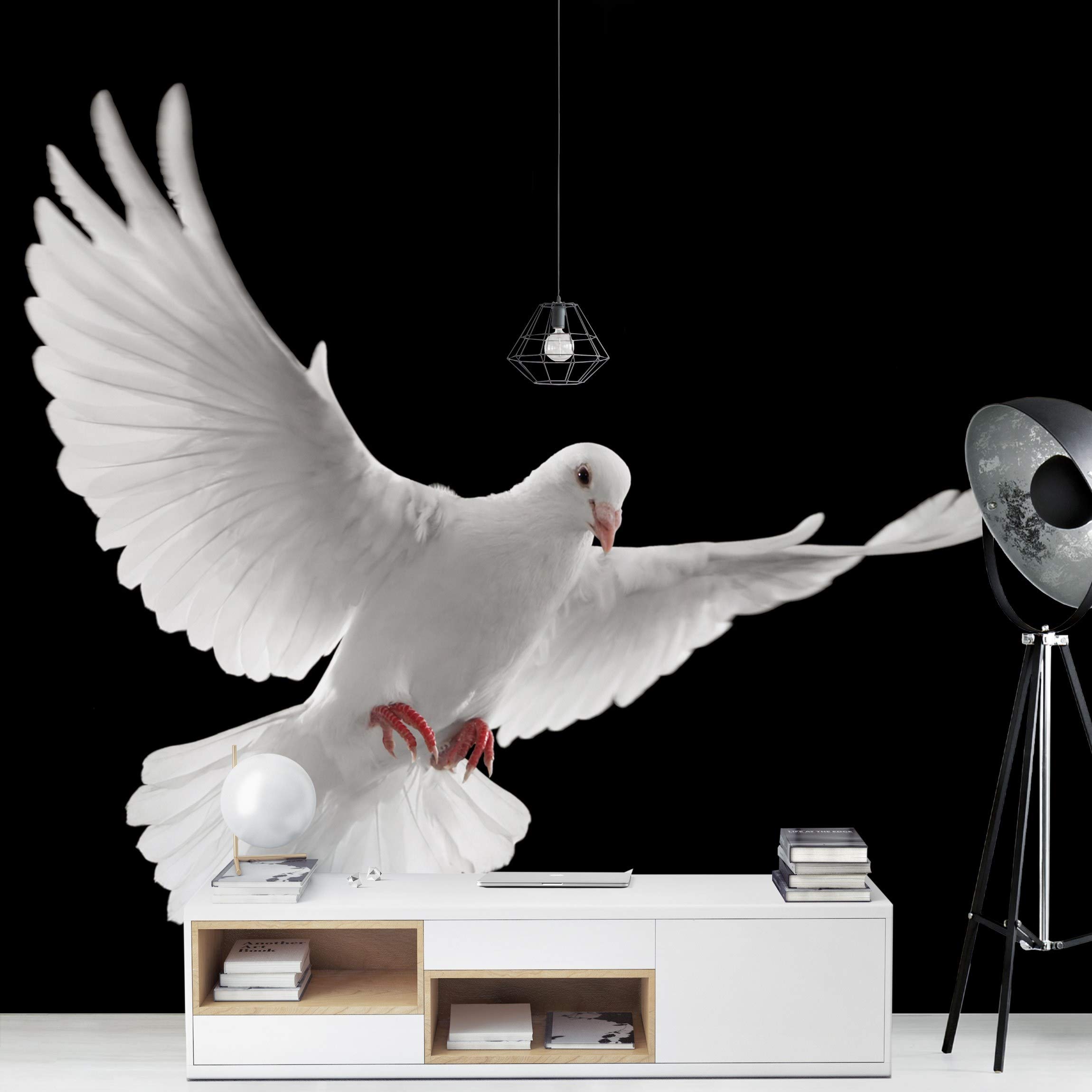 Peace Dove Wallpaper