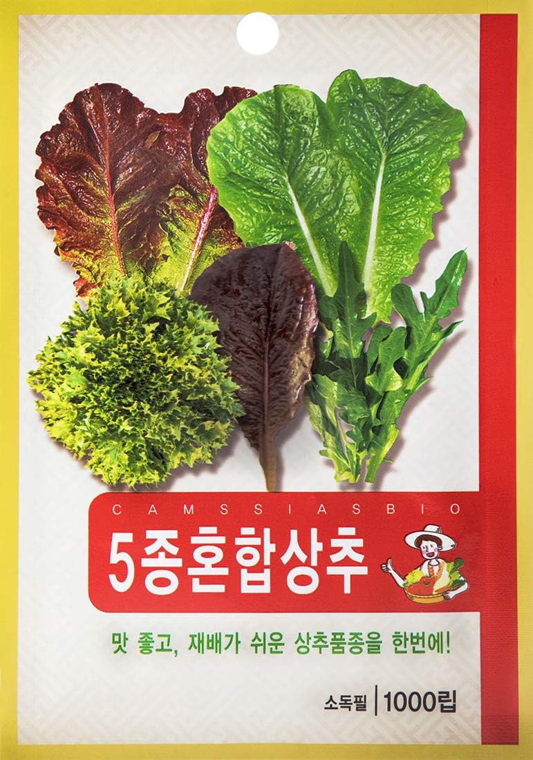 Amazon.com : 5 Kinds of Korean Lettuce, Korean Vegetable Seeds, 1,000 ...
