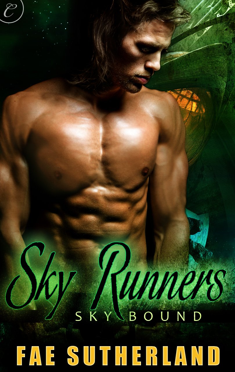 Sky Runners: A Gay High-Stakes Sci-Fi Adventure (Skybound Book 2 ...