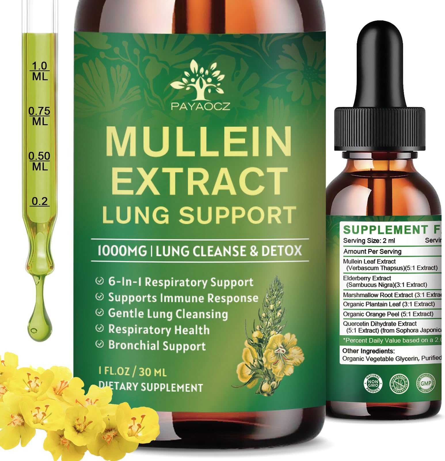 Amazon.com: (2 Pack) 6 In 1 Mullein Drops for Lungs, Organic Mullein ...