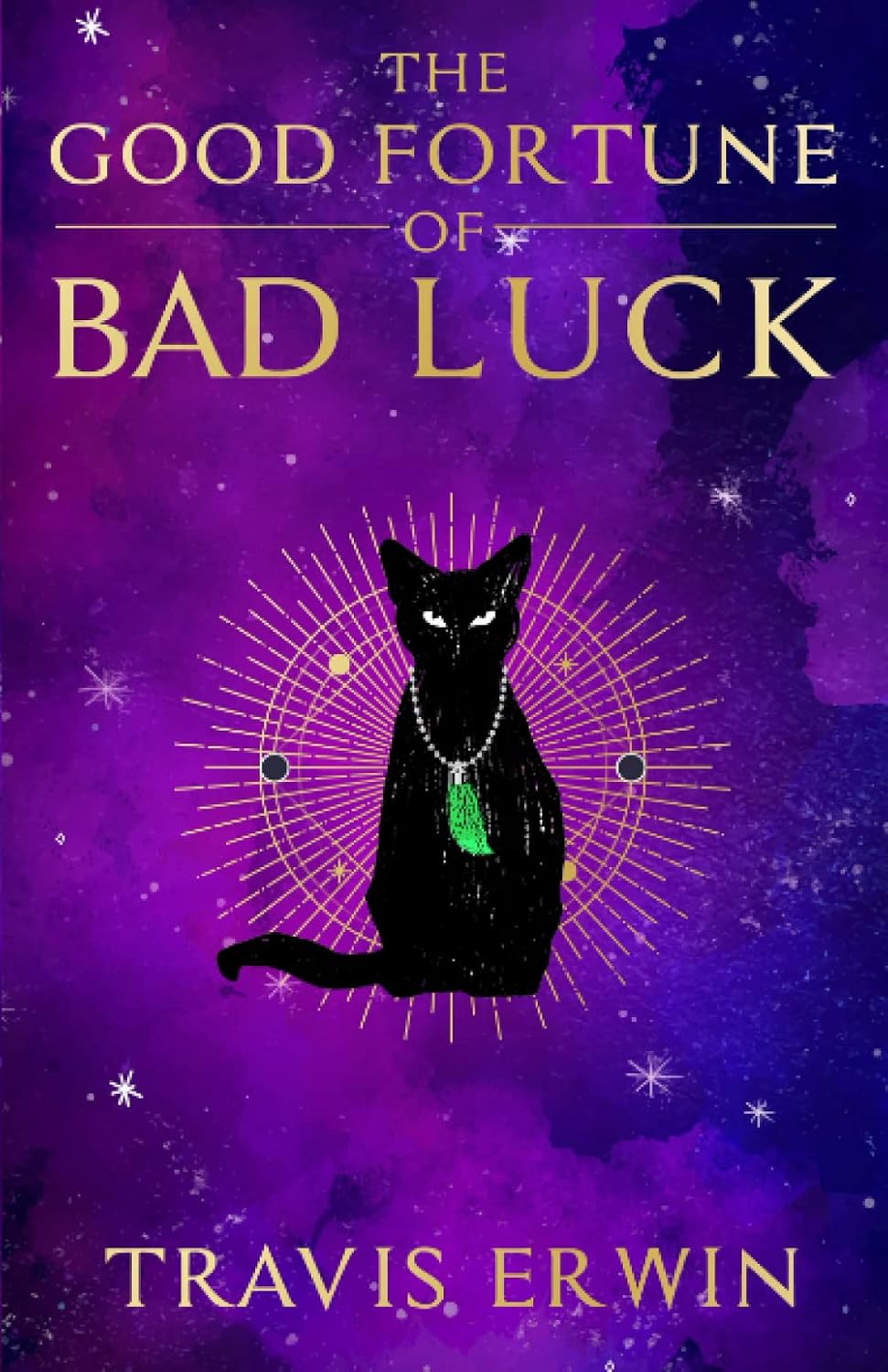 The Good Fortune of Bad Luck: Erwin, Travis: 9781732325722: Amazon.com ...