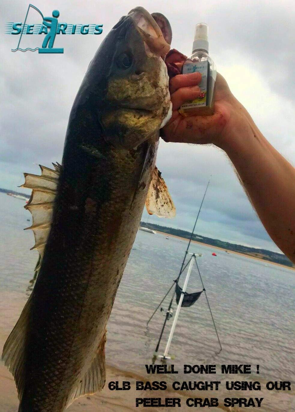 searigs 2 Hook Pulley Rig (Pennel) 2/0 + 2/0 Cod & Bass x3 Packs ...