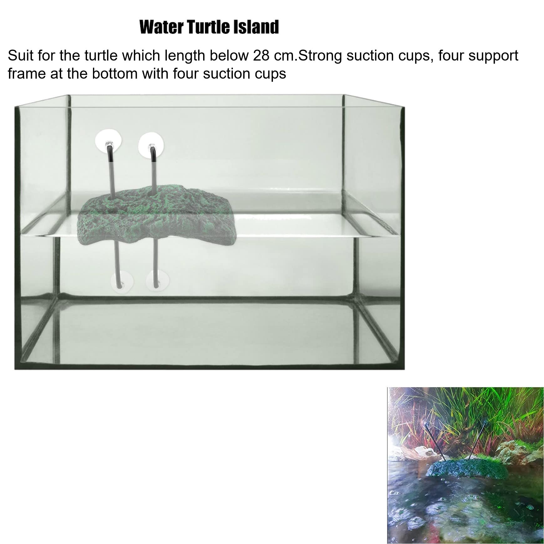 Snapklik.com : DAUERHAFT Turtle Basking Platform,Turtle Platform ...