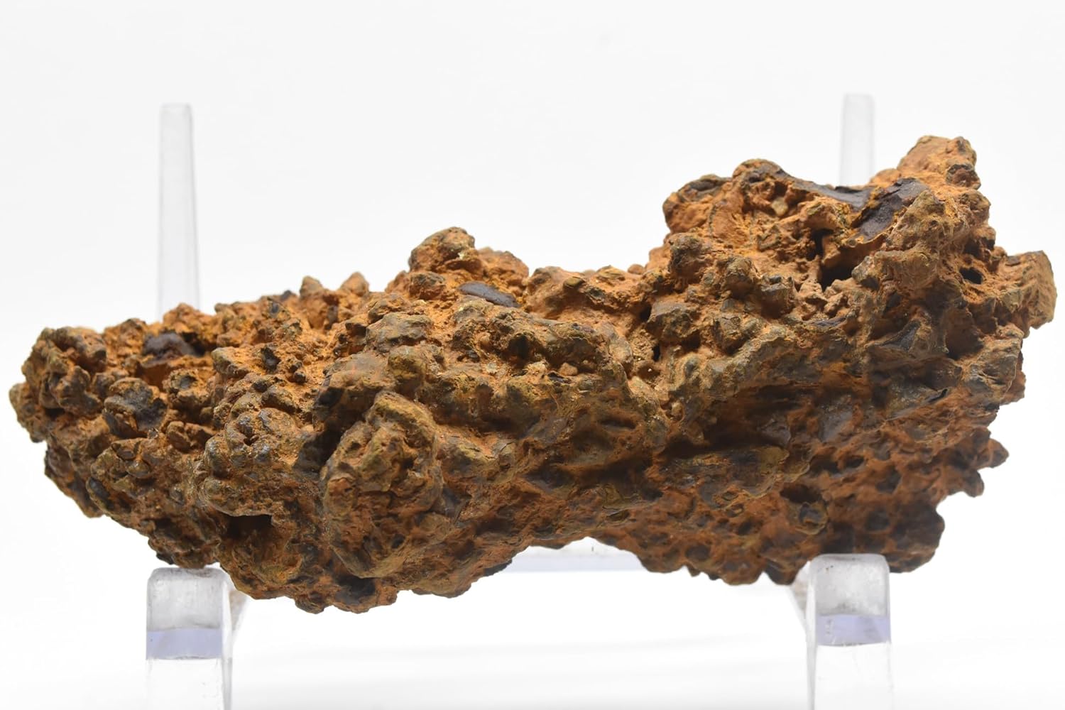 Amazon.com: HQRP-Crystal 360g Dinosaur Poop Coprolite Authentic ...