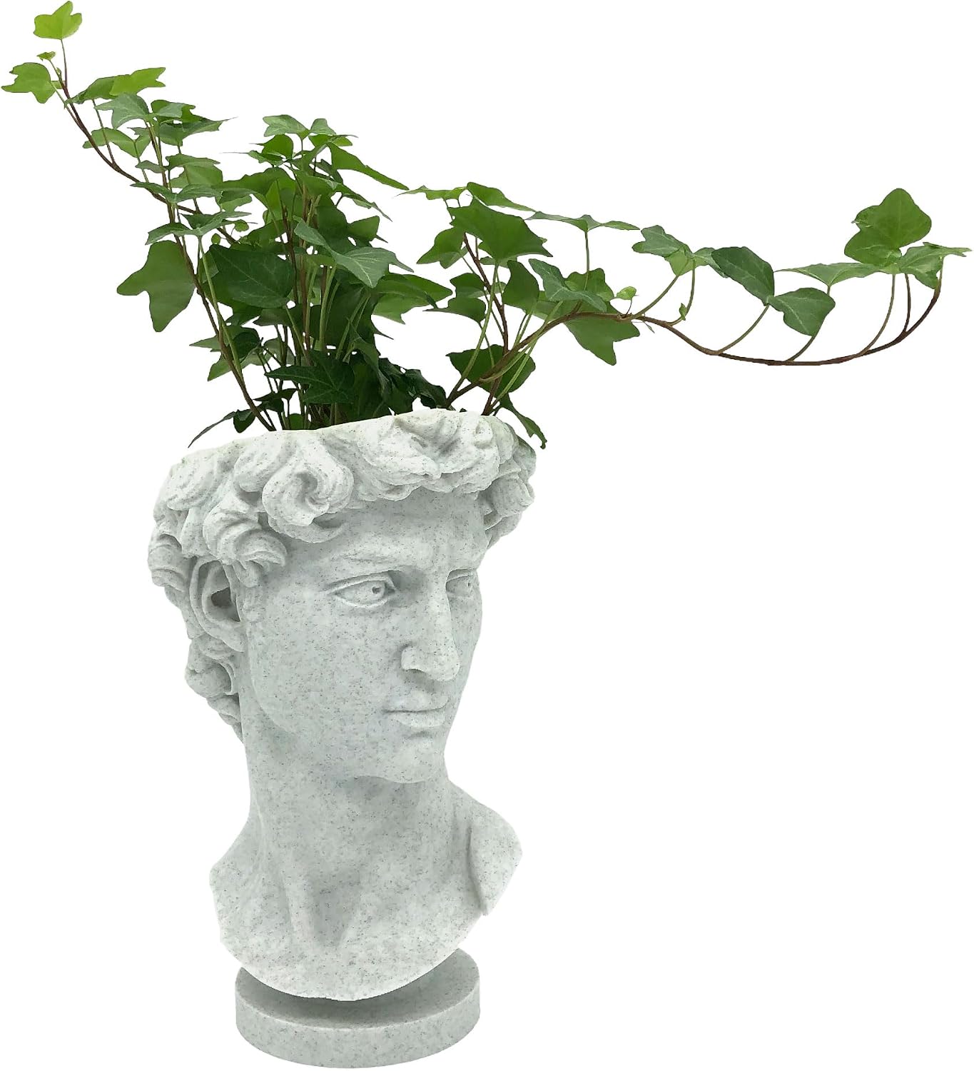 Amazon.com: Michelangelo David Bust Planter, Head Bust Sculpture, Pot ...