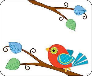Boho Birds Name Tags : Carson-Dellosa Publishing Company, Inc.: Amazon ...