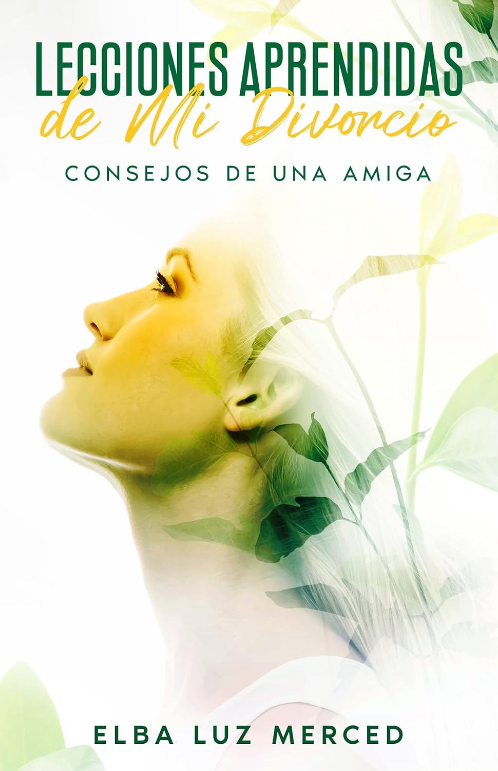 Amazon.com: Lecciones aprendidas de mi divorcio: Consejos de una amiga ...