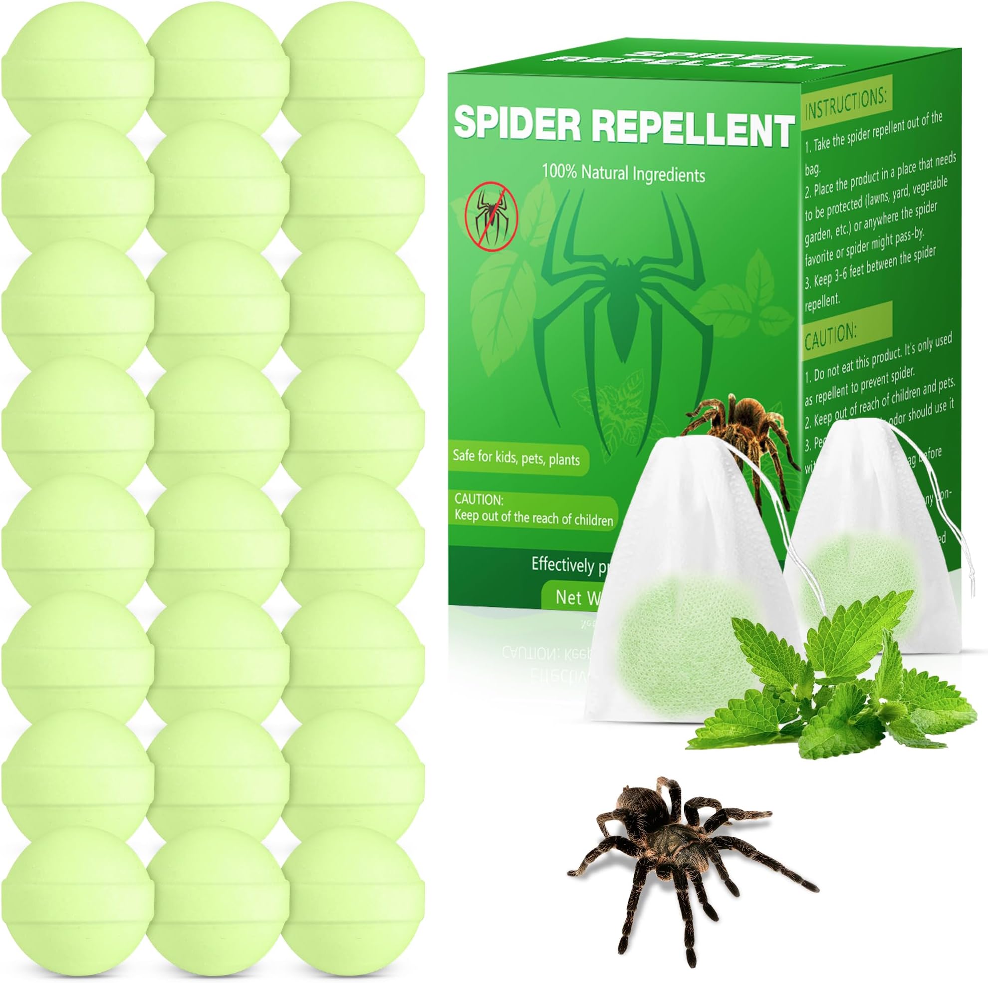Amazon.com: 4 Pack Peppermint Oil Spider Repellent Indoor - Powerful Spider Repellent with Plant ...