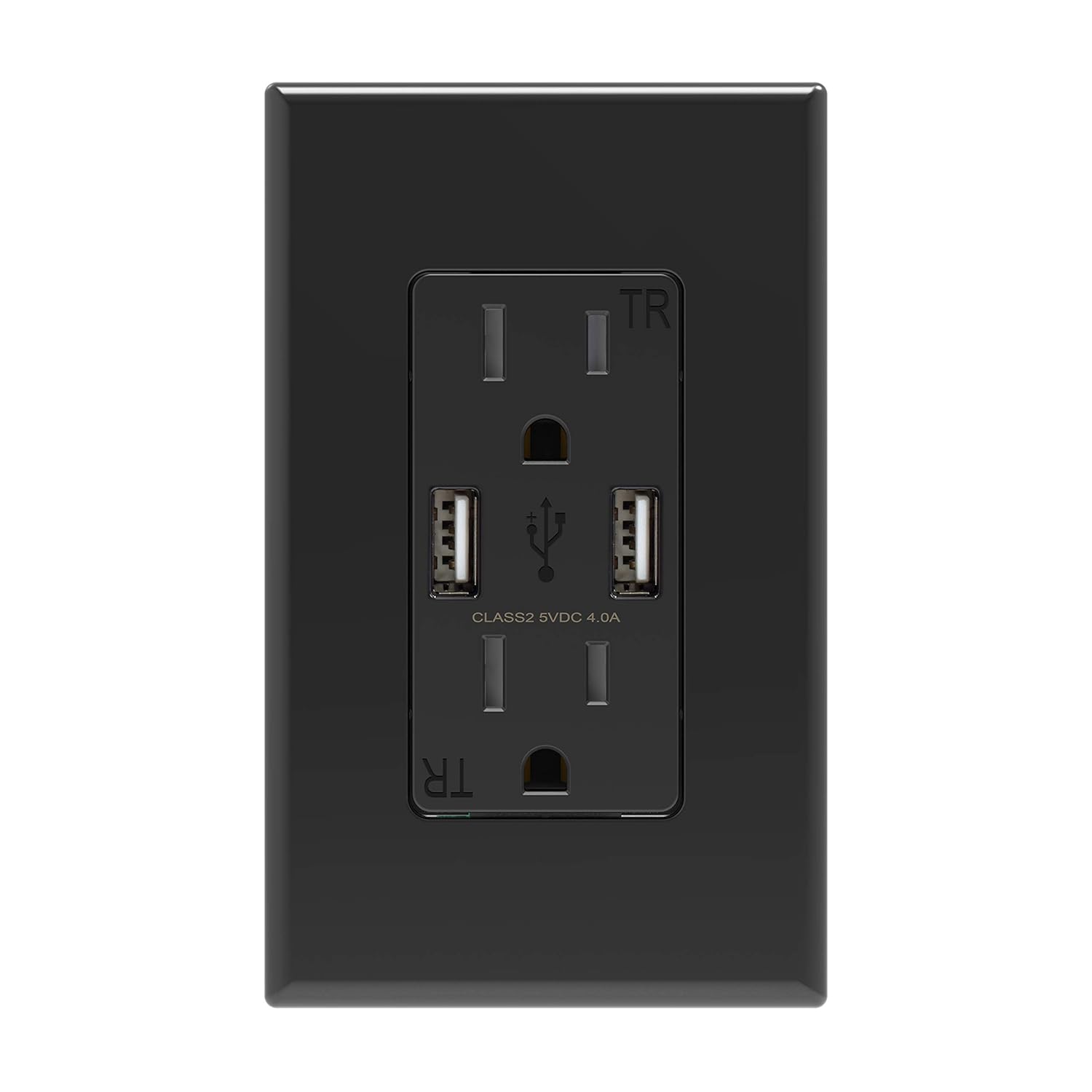 ELEGRP USB Wall Outlet Receptacle with Dual 4.0 A USB Ports, 15 Amp ...