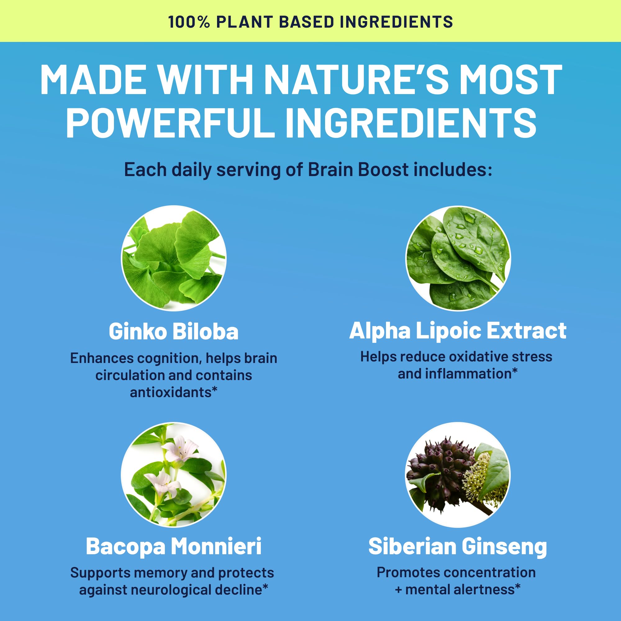 Snapklik.com : Brain Boost Nootropic Supplement Supports Memory, Mental ...