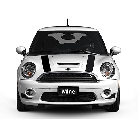Amazon.com - The Pixel Hut GS00222 White with Black Border Hood Stripes ...