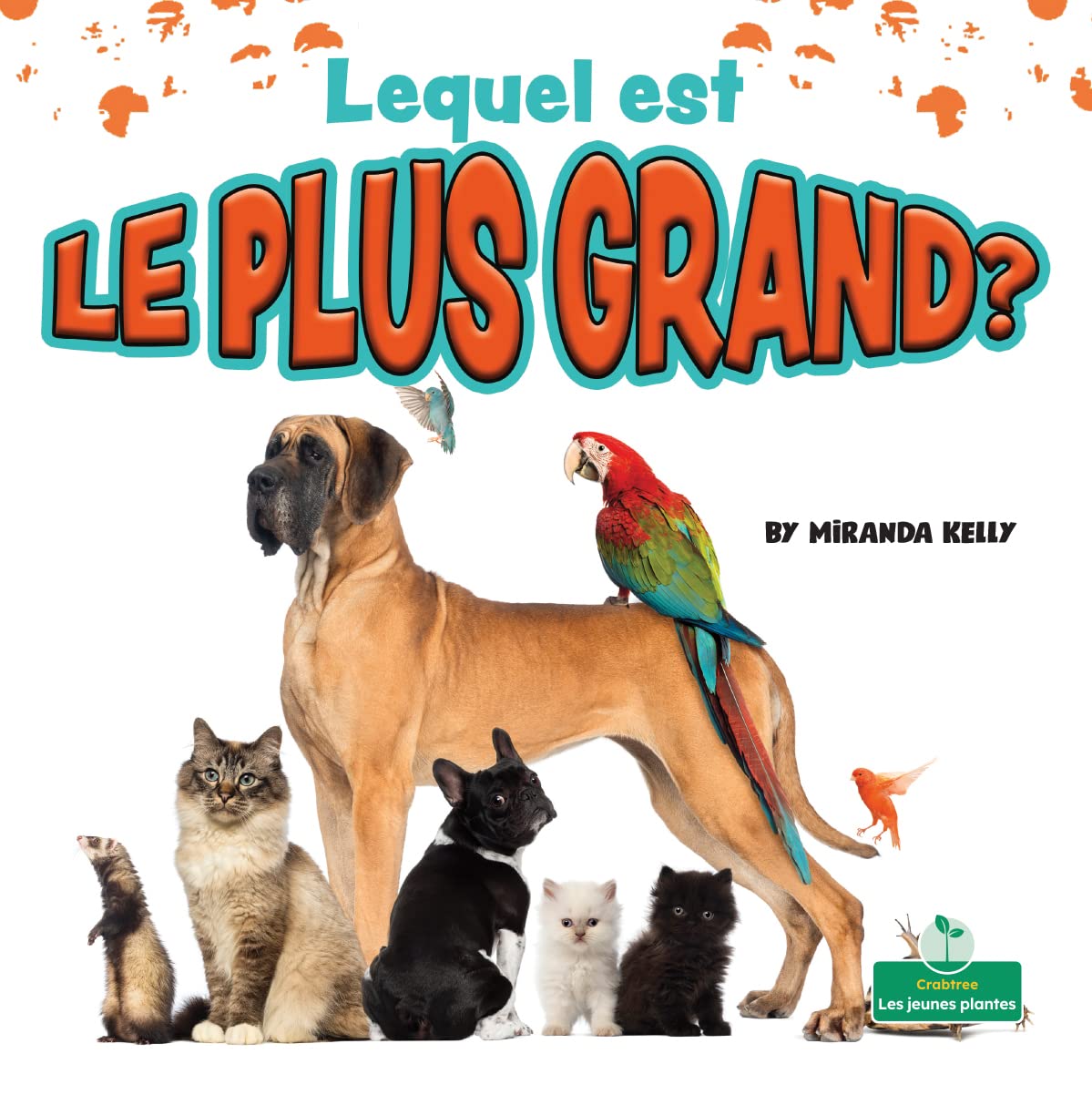 Amazon | Lequel Est Le Plus Grand?/ Which Is Biggest? (Notions d ...