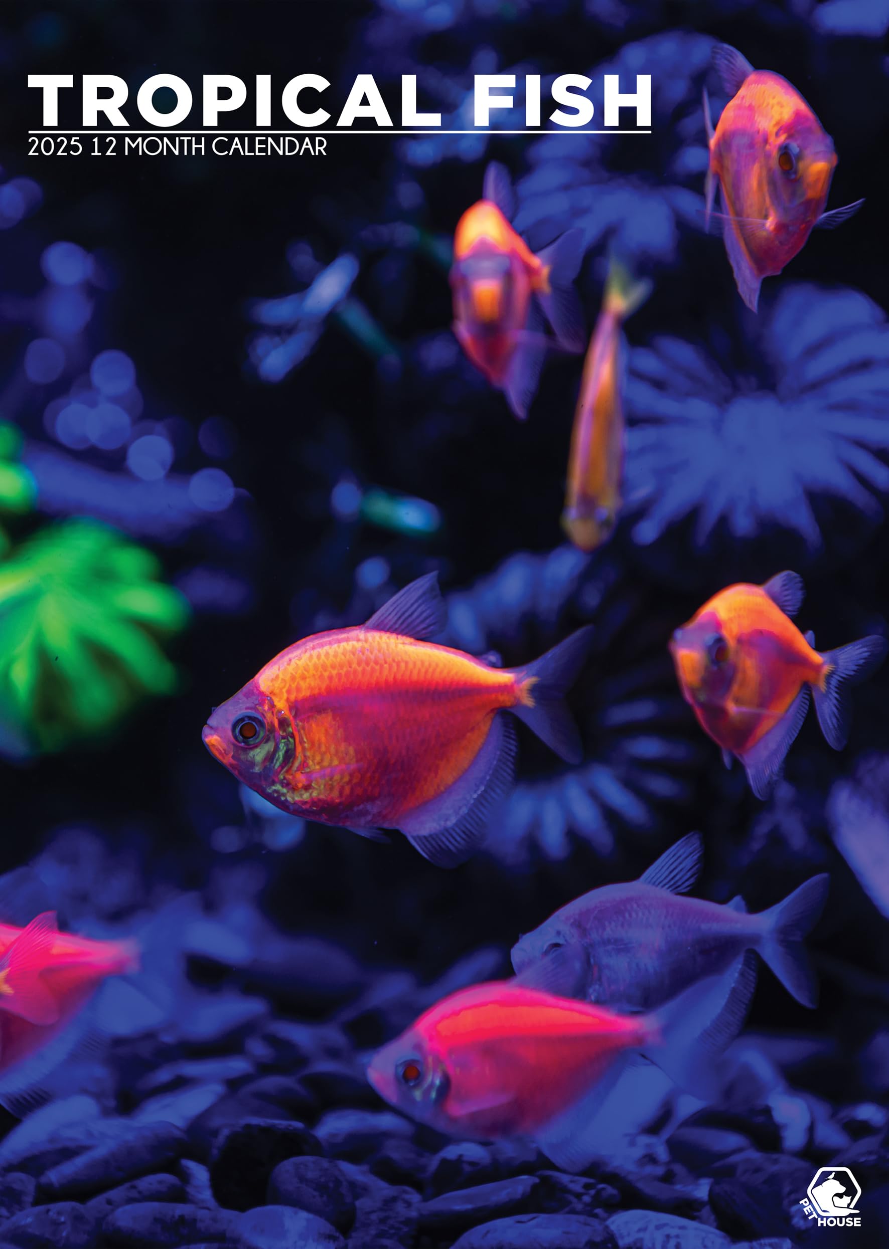 Tropical Fish 2025 – A3 Size Wirobound Calendar – BigaMart