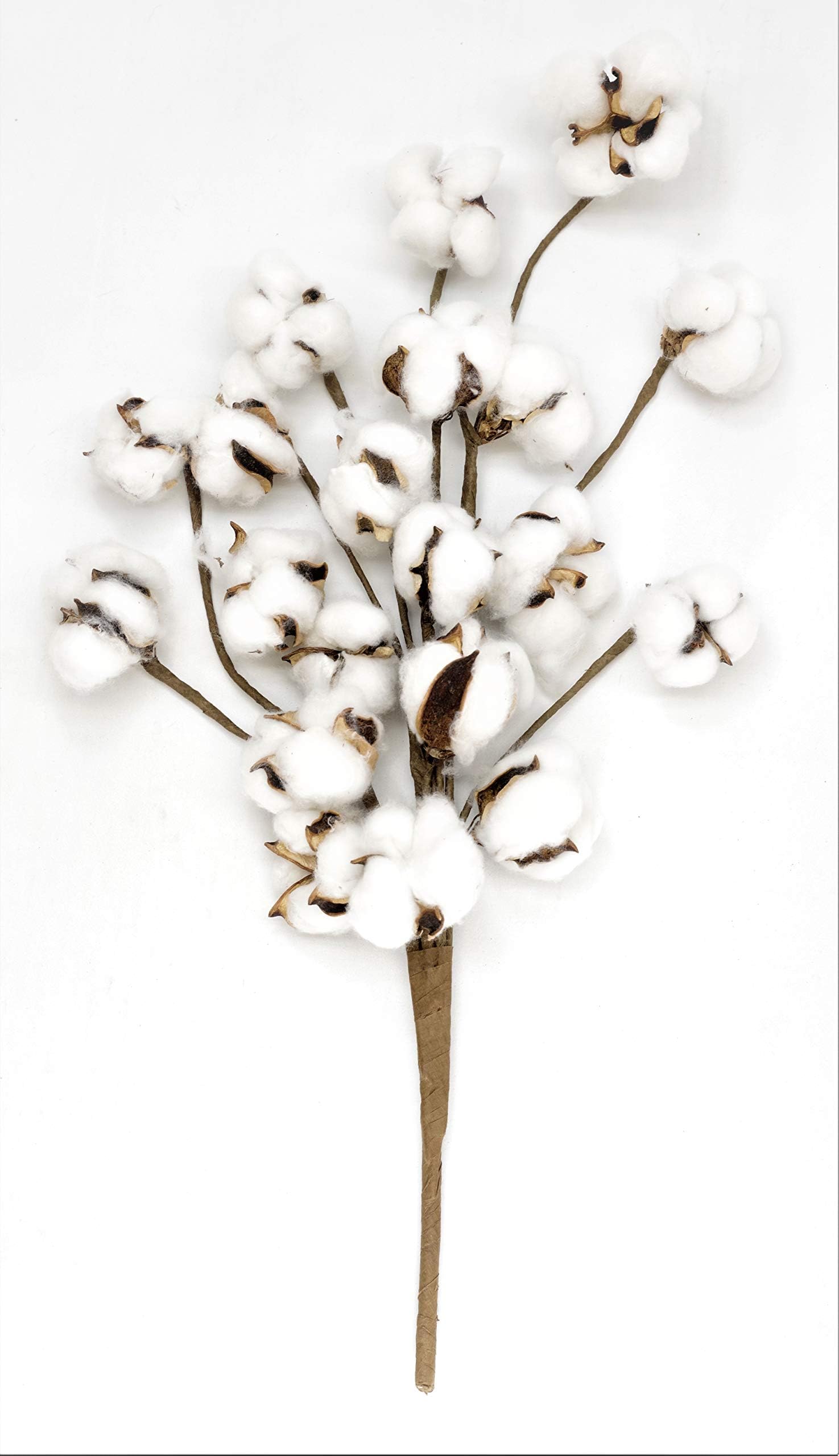 Amazon.com: lnnlikk Cotton Stems 4Pcs 21inch Cotton Flowers Artificial ...