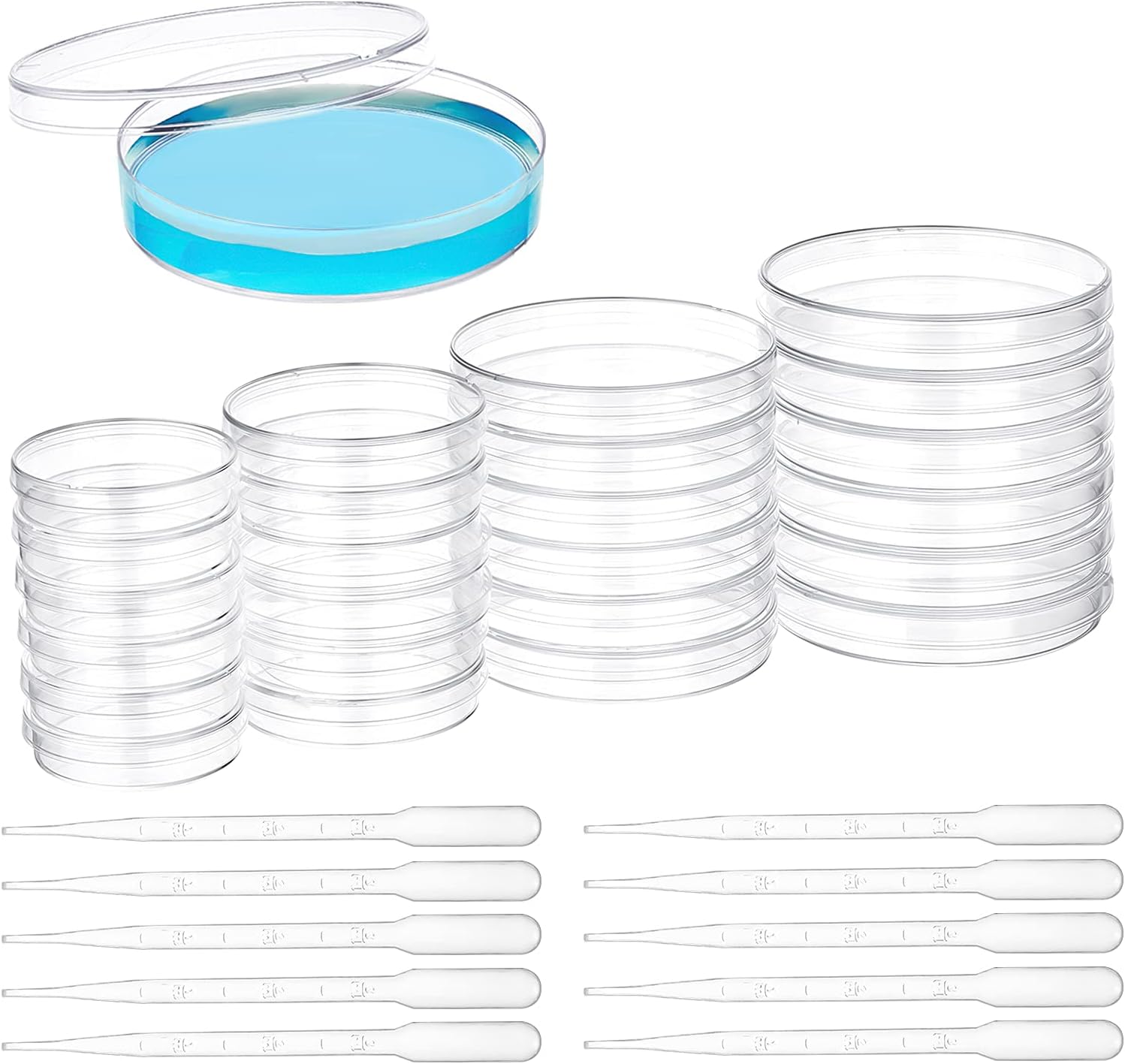 OLYCRAFT 24pcs 4 Sizes Plastic Petri Dishes Transparent Flat Round ...