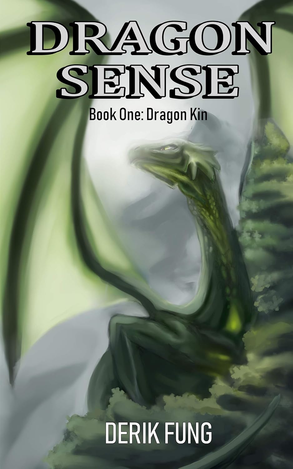 Dragon Kin (Dragon Sense Book 1) - Kindle edition by Fung, Derik ...