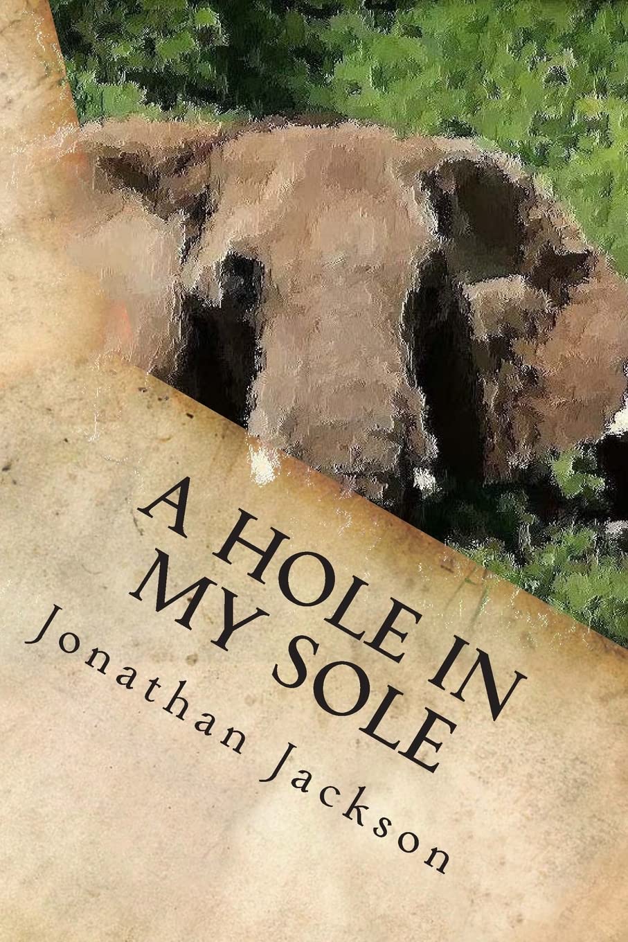 A Hole in My Sole: Jackson, Jonathan C: 9781500153816: Amazon.com: Books