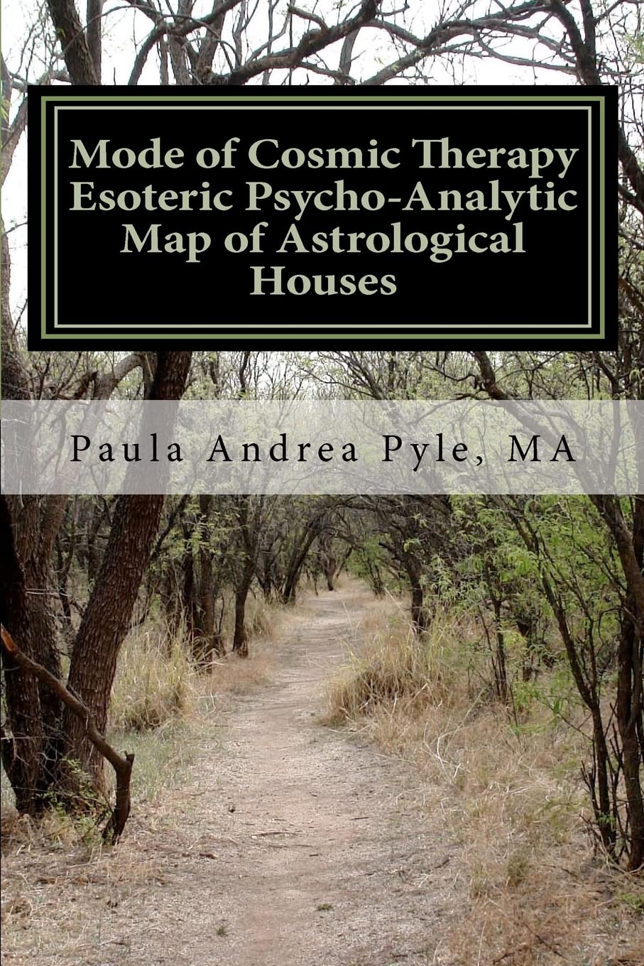 Mode of Cosmic Therapy Esoteric Psycho-Analytic: Astrological Houses ...