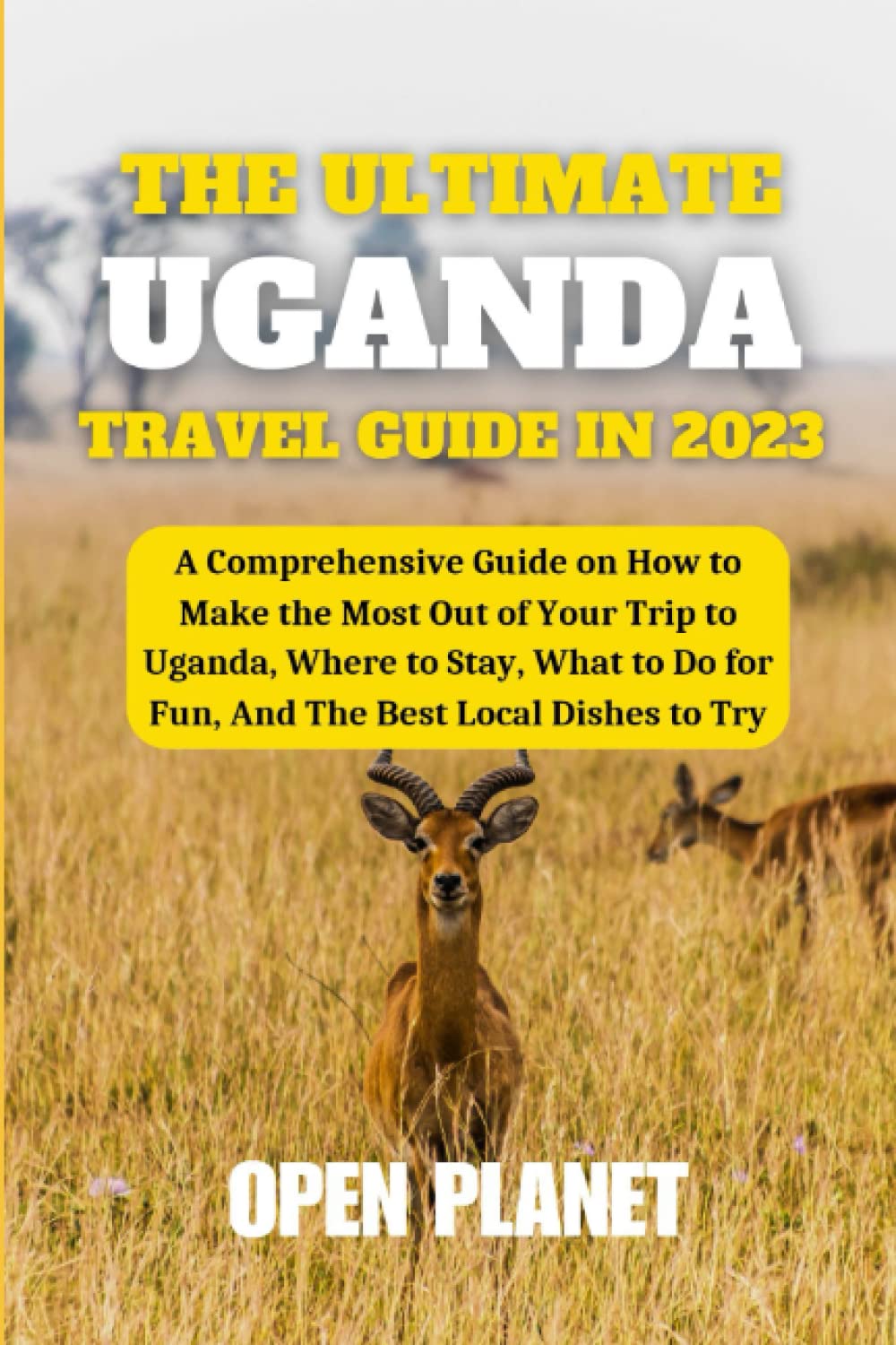 Buy THE ULTIMATE UGANDA TRAVEL GUIDE IN 2023: A Comprehensive Guide on ...