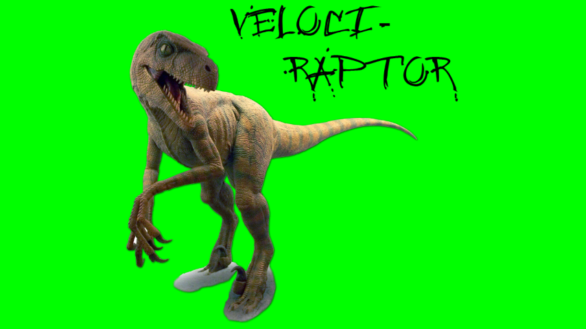 Toddler Animal Sounds - Things that Roar!:Amazon.com:Appstore for Android