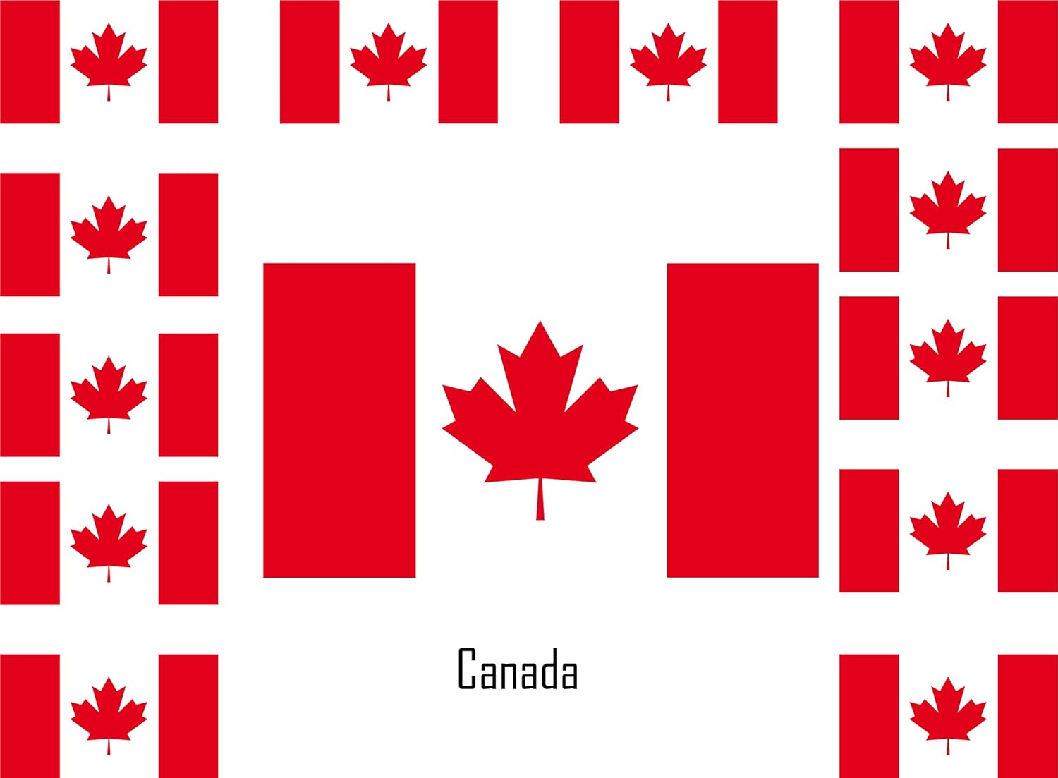 15 Assorted Canadian Flag Stickers Flag Vinyl Stickers : Amazon.ca ...