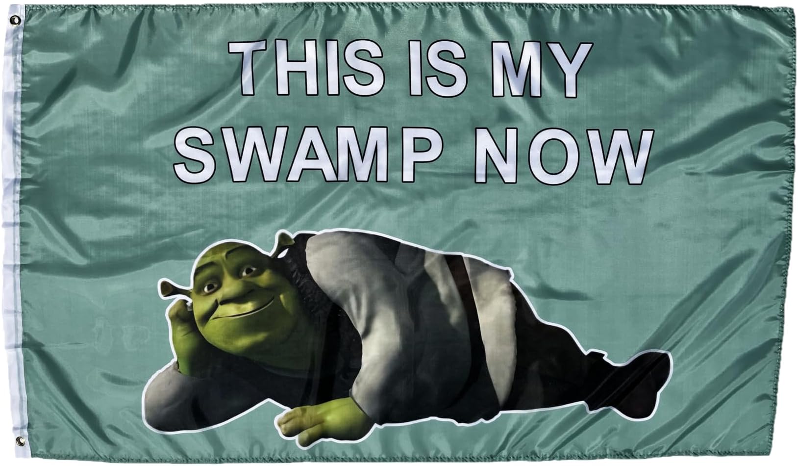 Amazon.com : This is my swamp flag 3x5 ft Get out my swamp tapestry ...