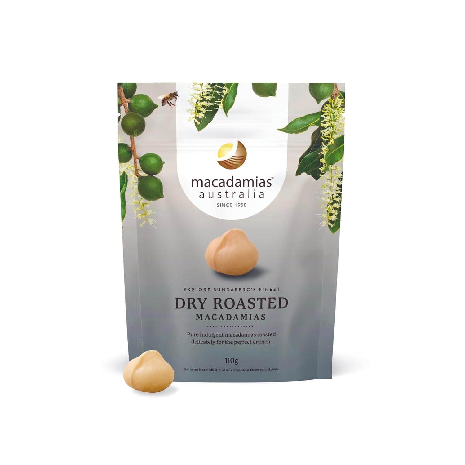 Amazon.com : Macadamias Australia Macadamias (Dry Roasted 110g ...