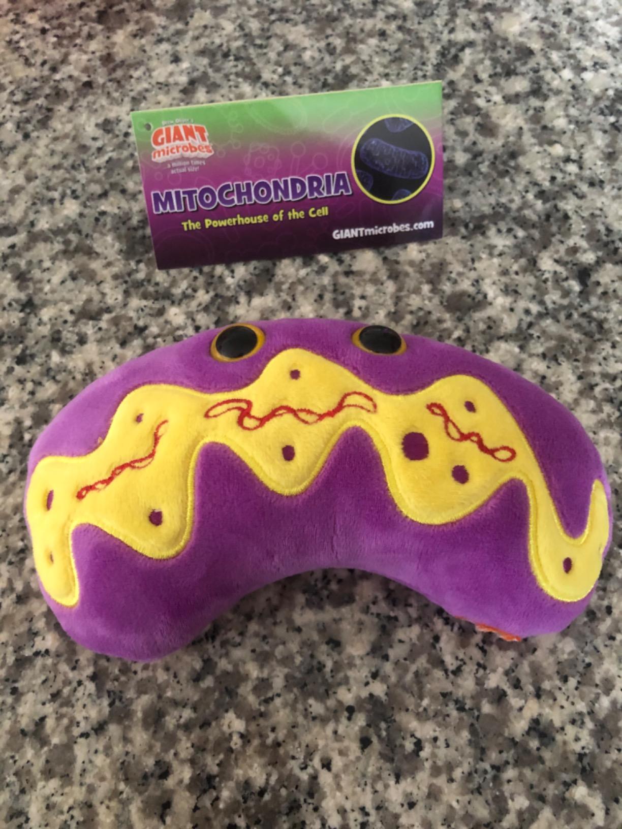 Amazon.com: GIANTmicrobes Mitochondria Plush - Learn About Cell Biology ...