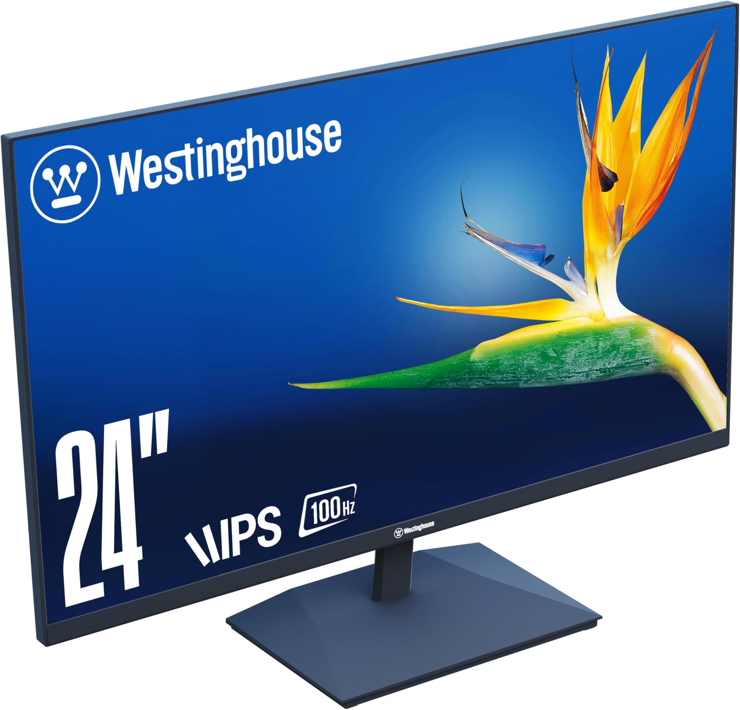 Amazon.com: HP 23.8In 1920X1080 N246v Monitor : Electronics