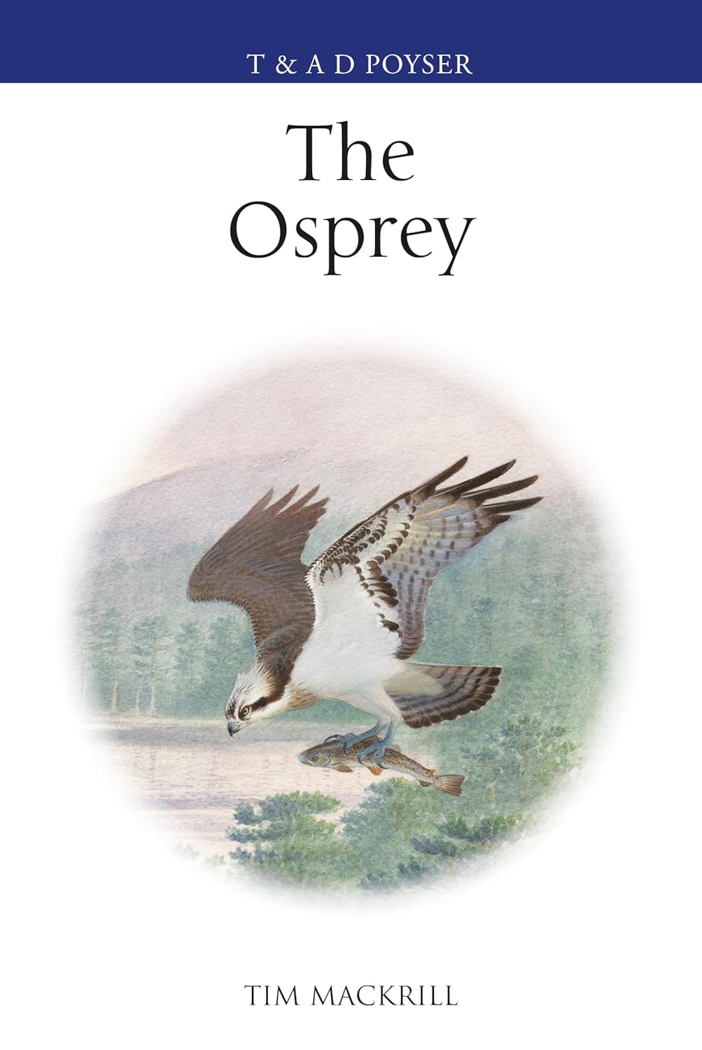 The Osprey (Poyser Monographs): Amazon.co.uk: Mackrill, Tim ...