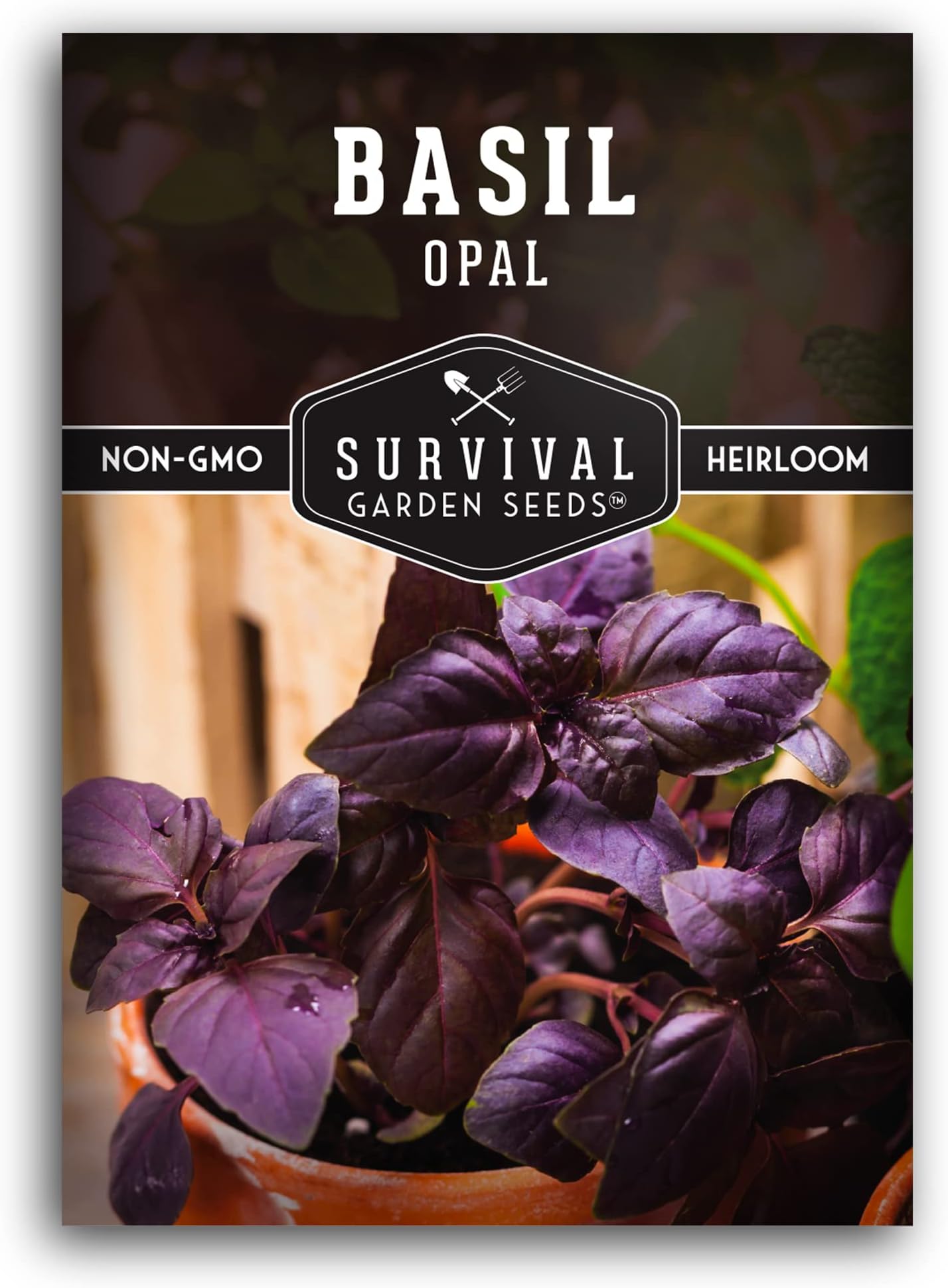 Amazon.com : TAJ Premium Indian Tukmaria Seed (Sweet Basil Seeds, Tulsi ...