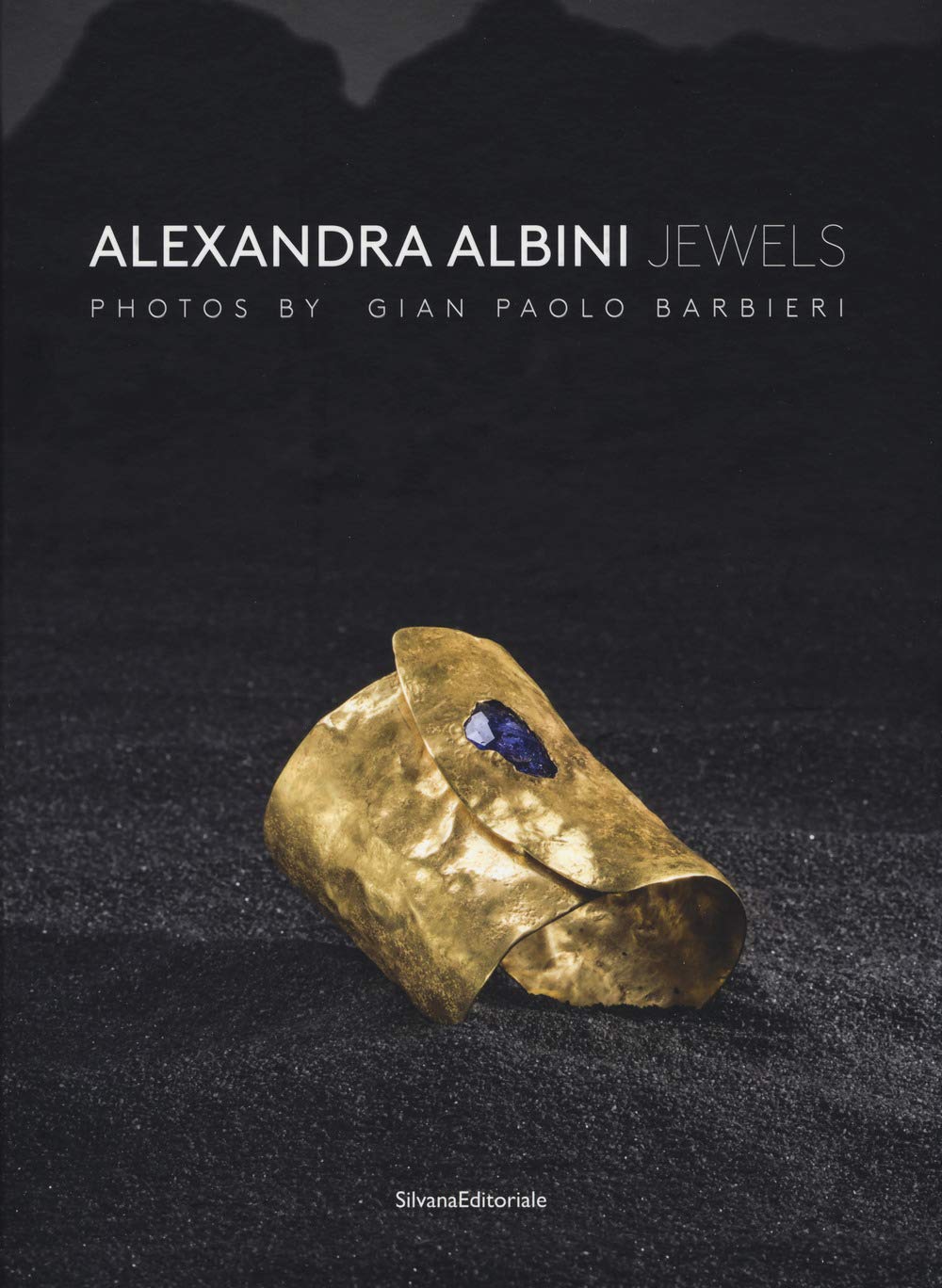 Alexandra Albini: Jewels: Amazon.co.uk: Alba Cappellieri, Photographs ...