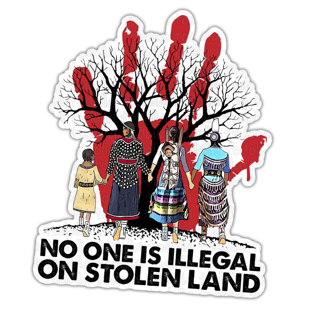 Amazon.com - TODOLIA (3Pcs) No One is Illegal On Stolen Land Sticker ...