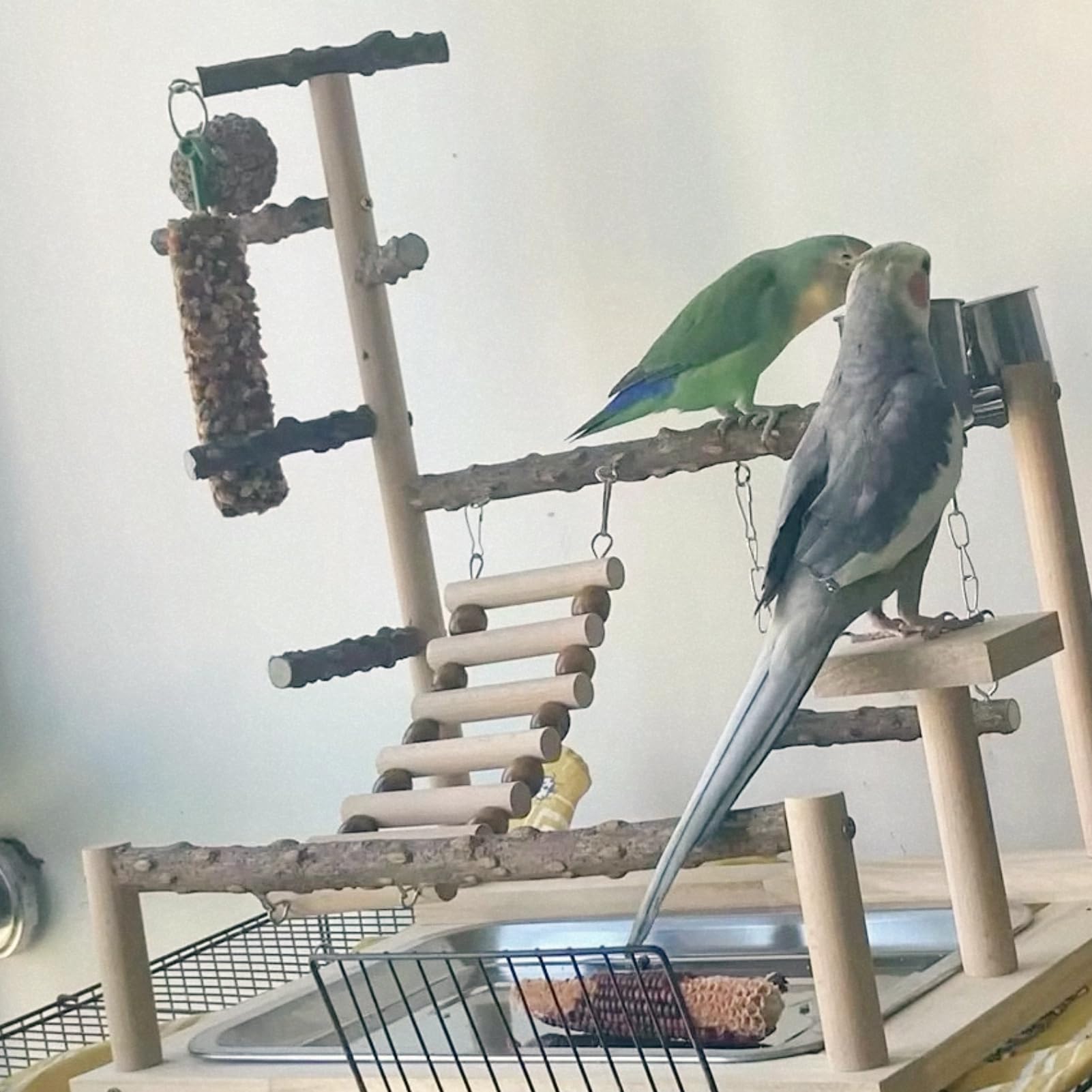 Snapklik.com : GOVNPJ Parrot Playground Playstands, Bird Playgrounds