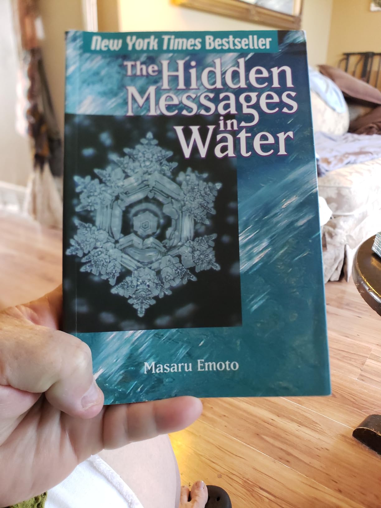 Hidden Messages in Water: Emoto, Masaru: 9780743289801: Books - Amazon.ca