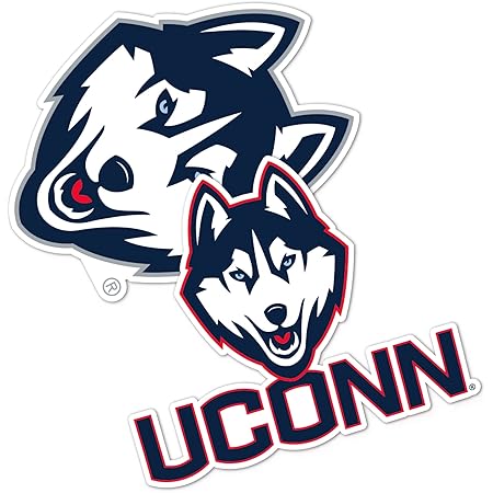 Amazon.com: University of Connecticut Sticker UConn Huskies Stickers ...