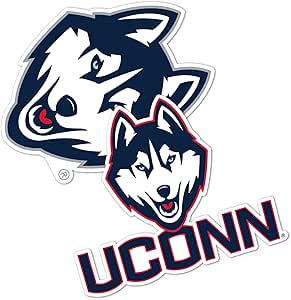 Amazon.com: Desert Cactus University of Connecticut Sticker Huskies ...