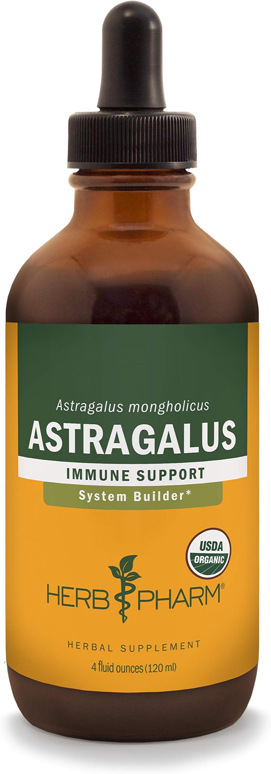 Amazon.com: Dragon Herbs - Astragalus Root Drops - 2 fl oz : Health ...