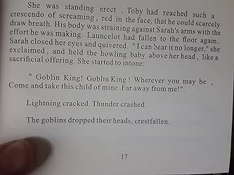 Amazon.com: The Labyrinth RED Book Sarah's Full Novel Replica Fan Made ...