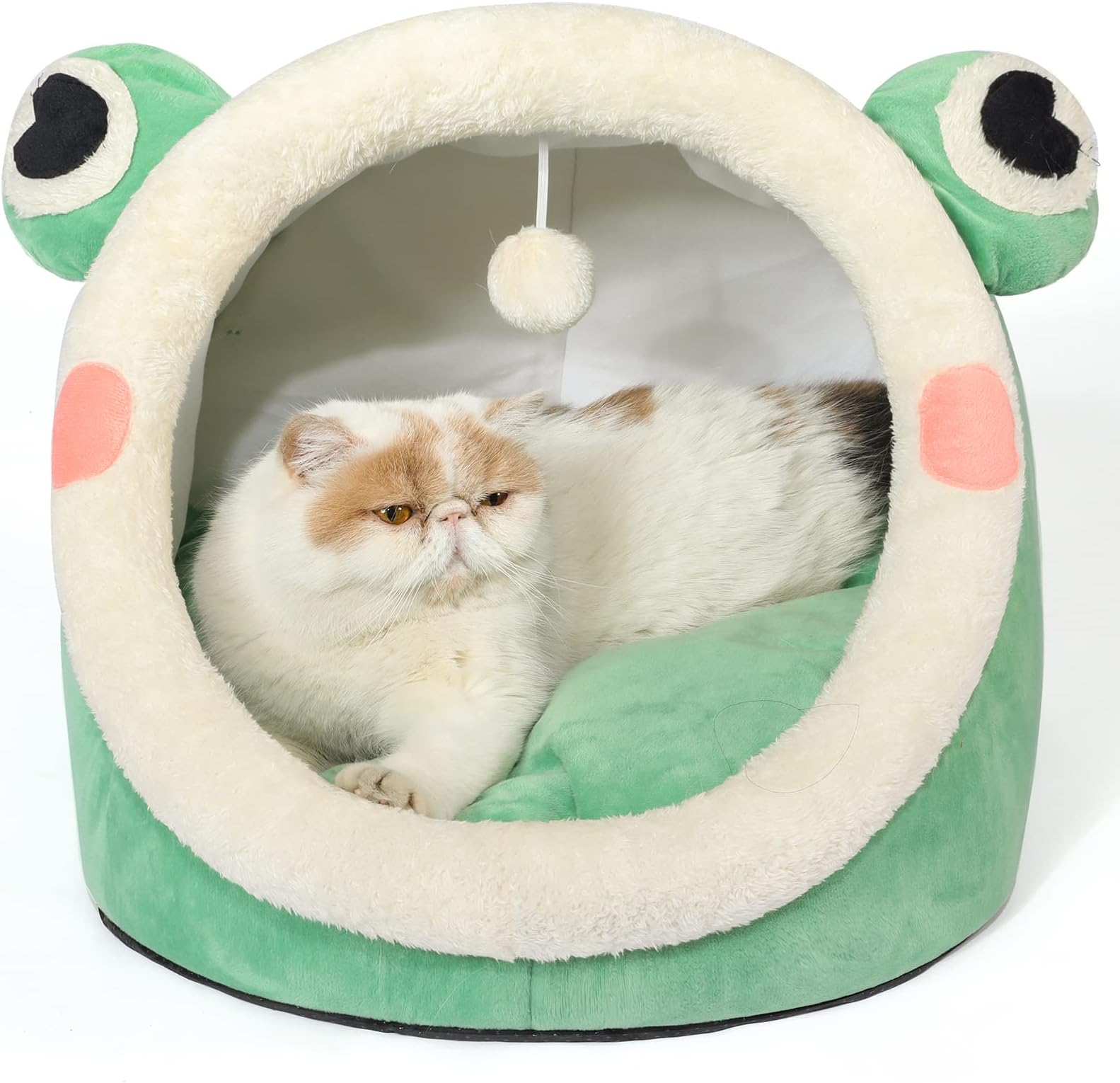 Amazon.com : Shark-Shaped cat cave beds for Indoor Cats, Cute cat ...