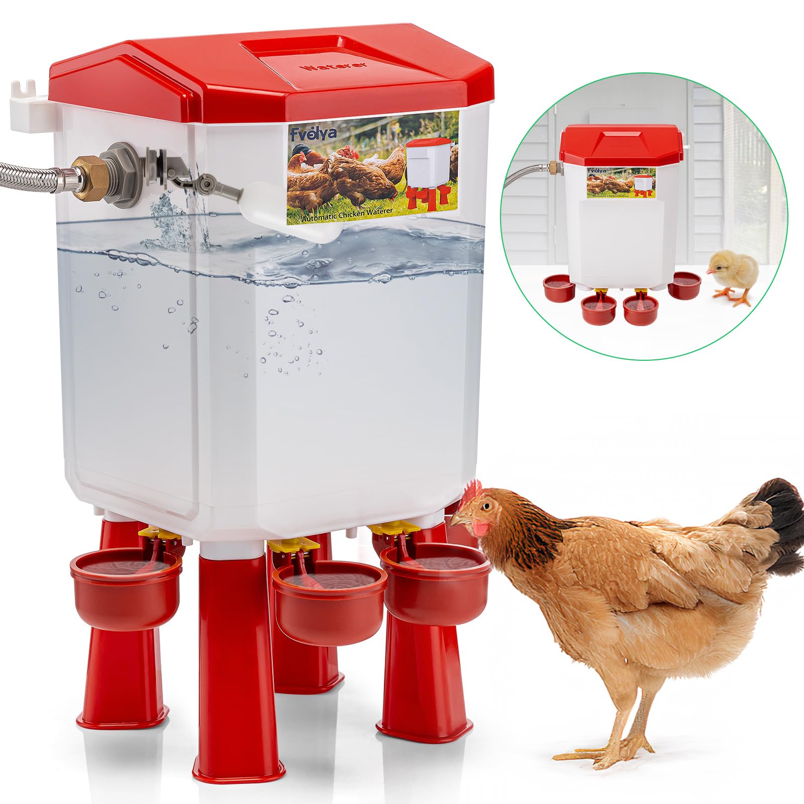 Electric Waterer For Chickens Premier 1 All Season Heated Poultry