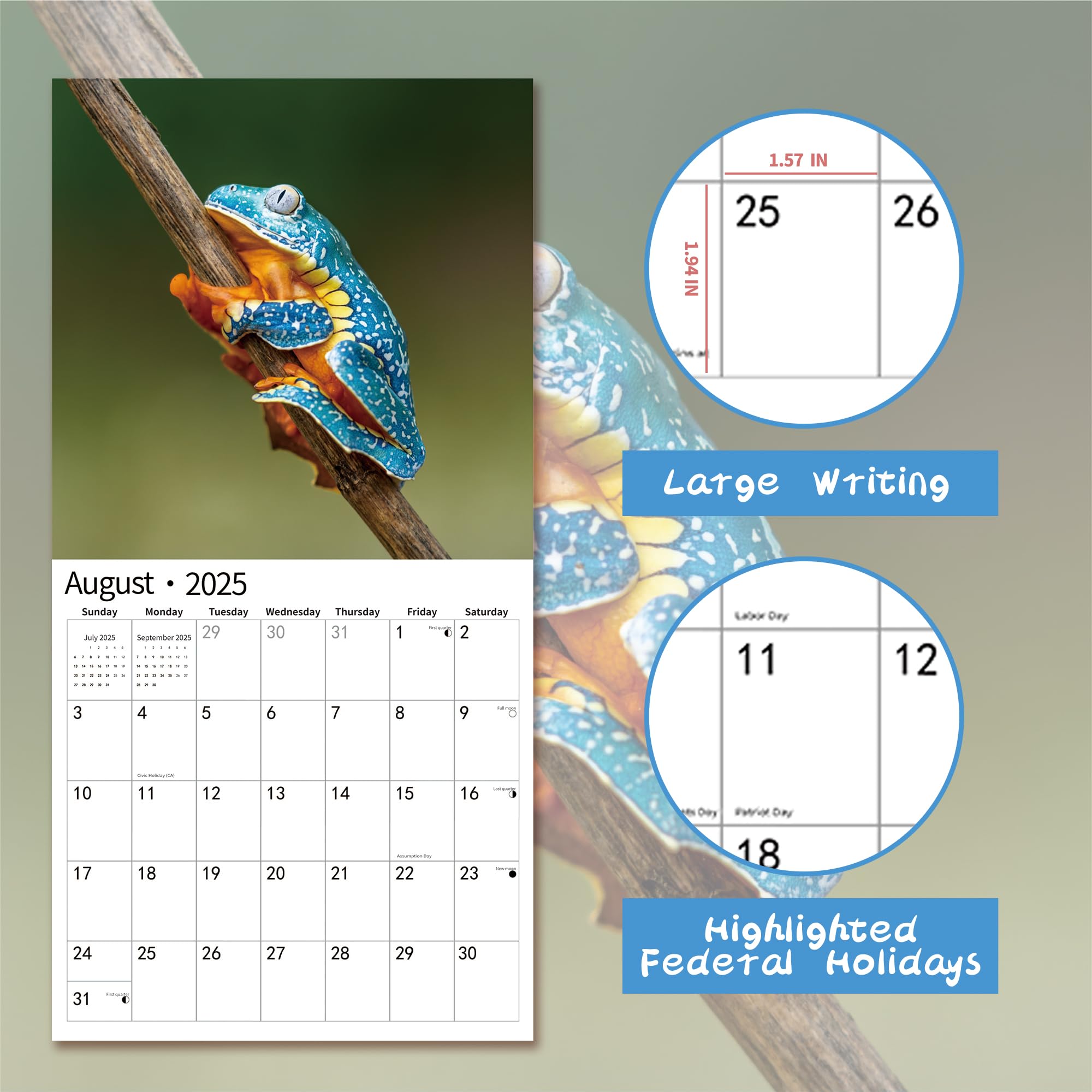 Snapklik.com : 2025 Wall Calendar,Calendar 2025, November 2024 ...