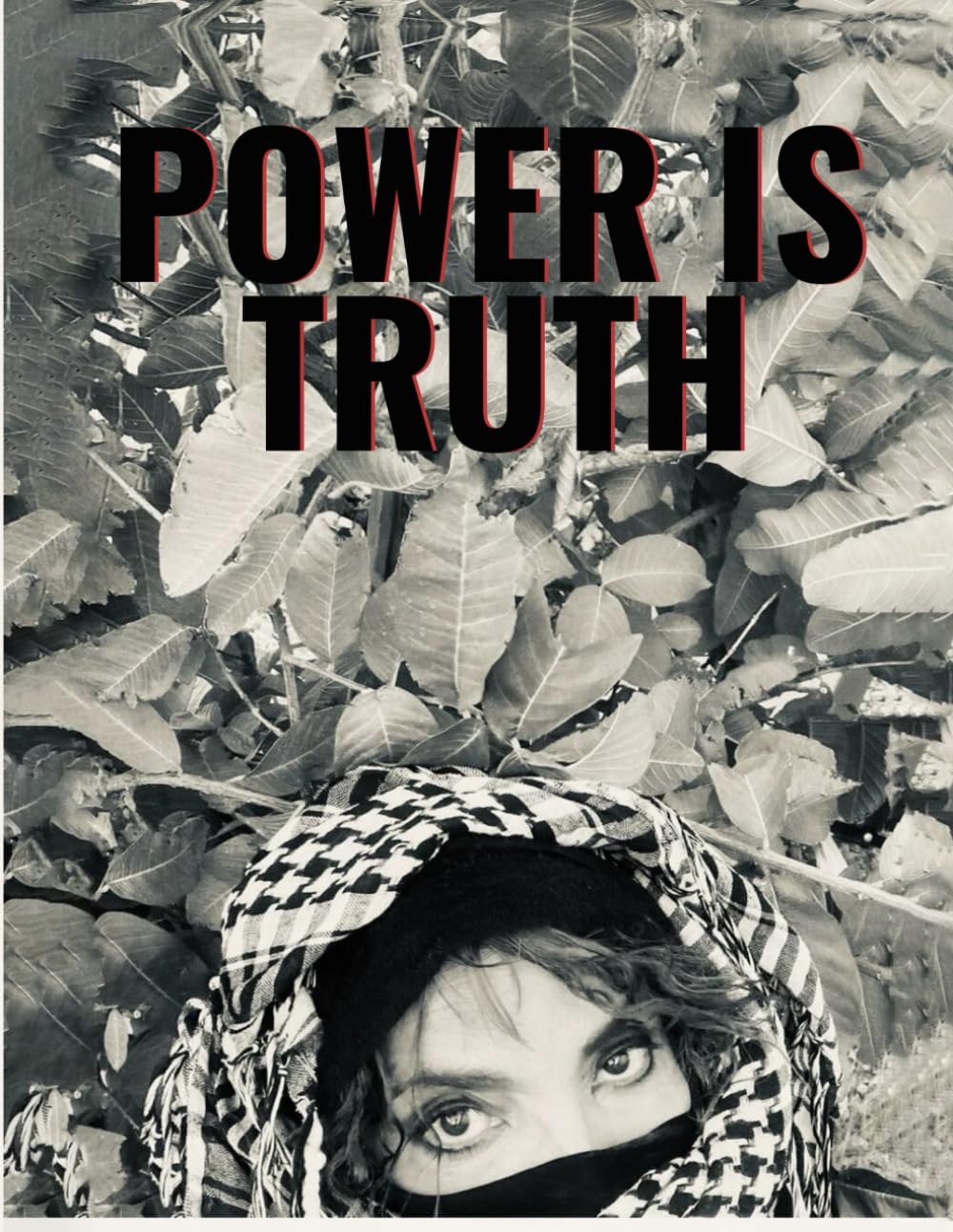 Amazon.com: Power Is Truth: 9781965117095: Baig, Shazadi: Books