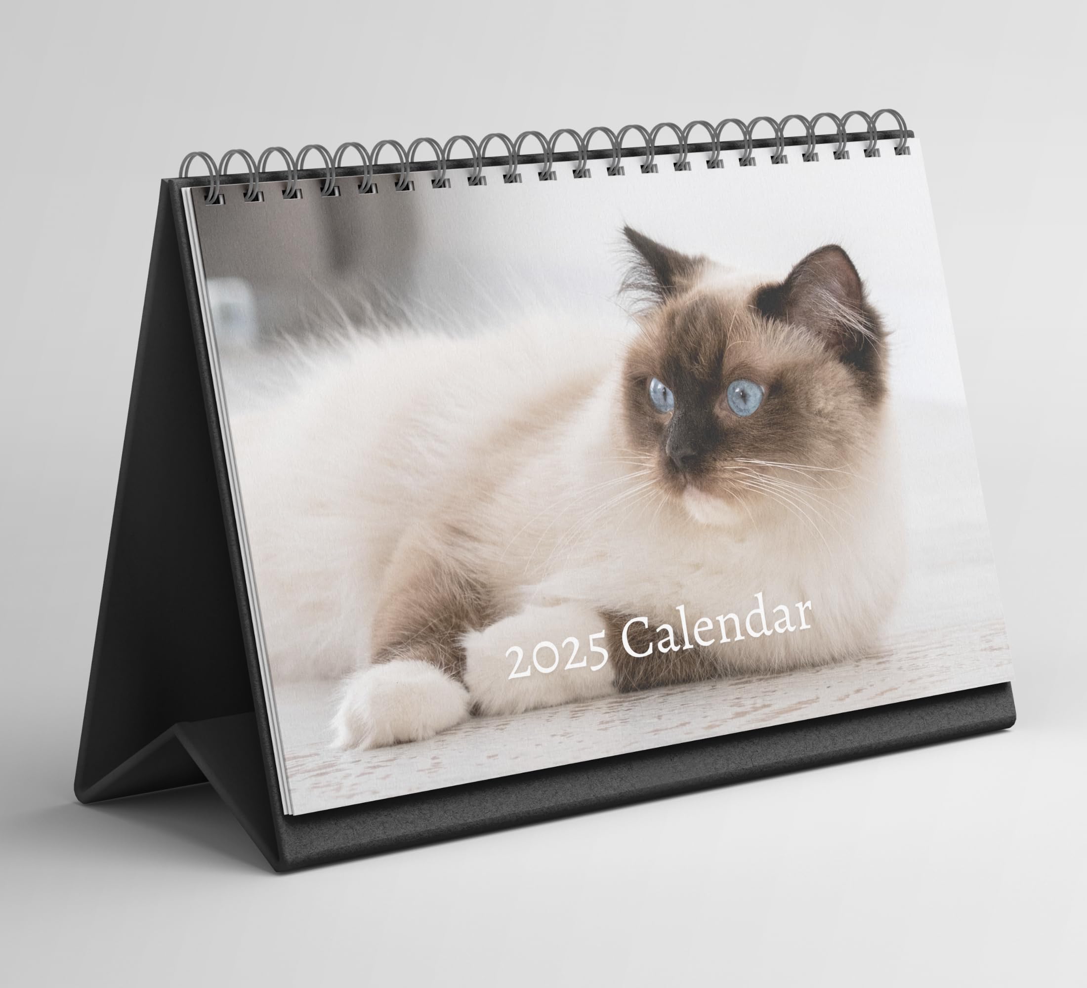 365 Cats Page-A-Day® Calendar 2025: The World's Favourite Cat Calendar ...