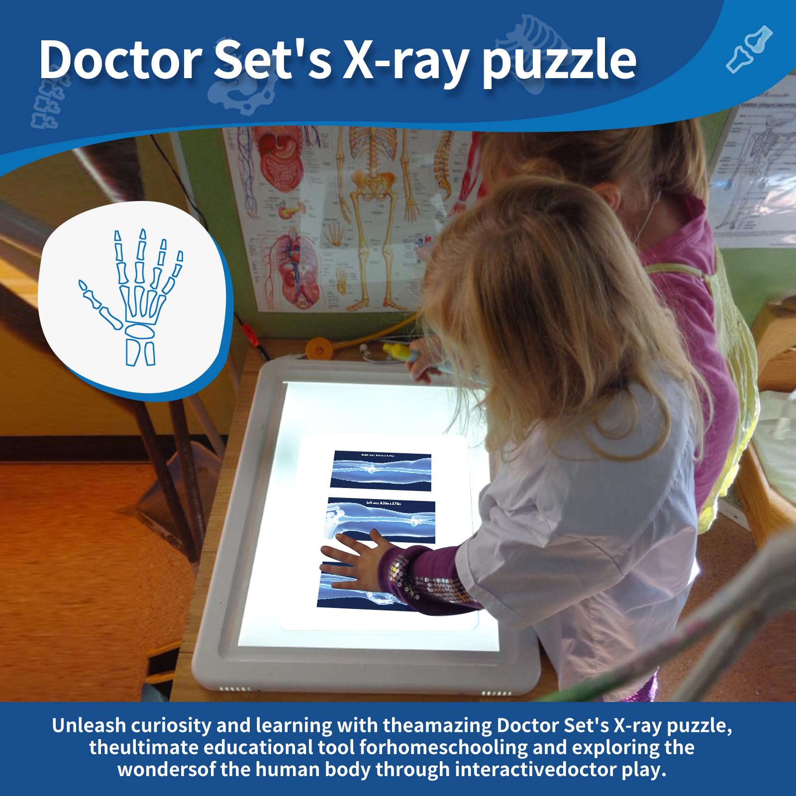 Snapklik.com : Yichushisu Lifelike Human Body X-Ray Puzzle Kit ...