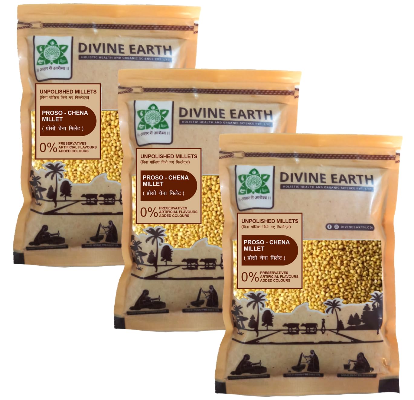 DIVINE EARTH Proso Millet Unpolished Natural Grains, 1.5kg (500g x 3 ...