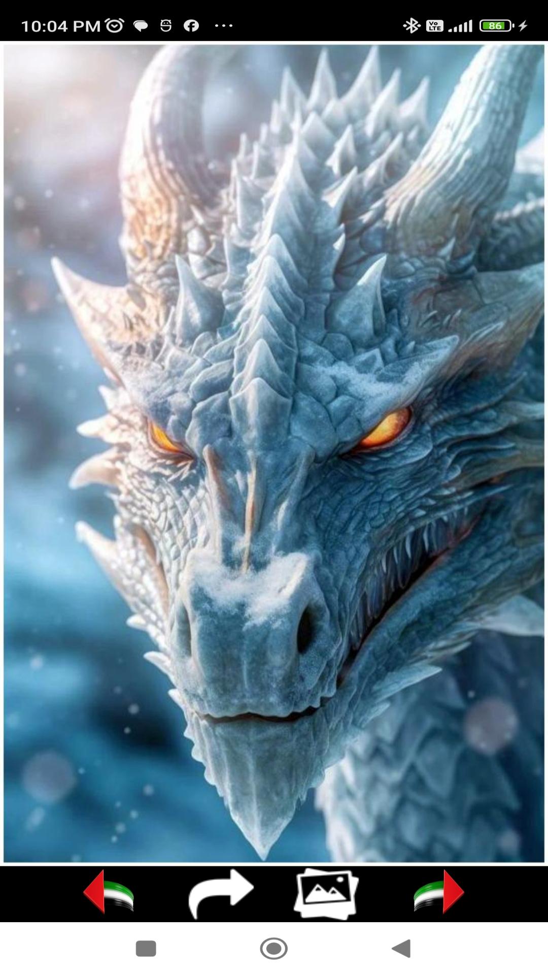 Dragons Wallpapers - App on Amazon Appstore