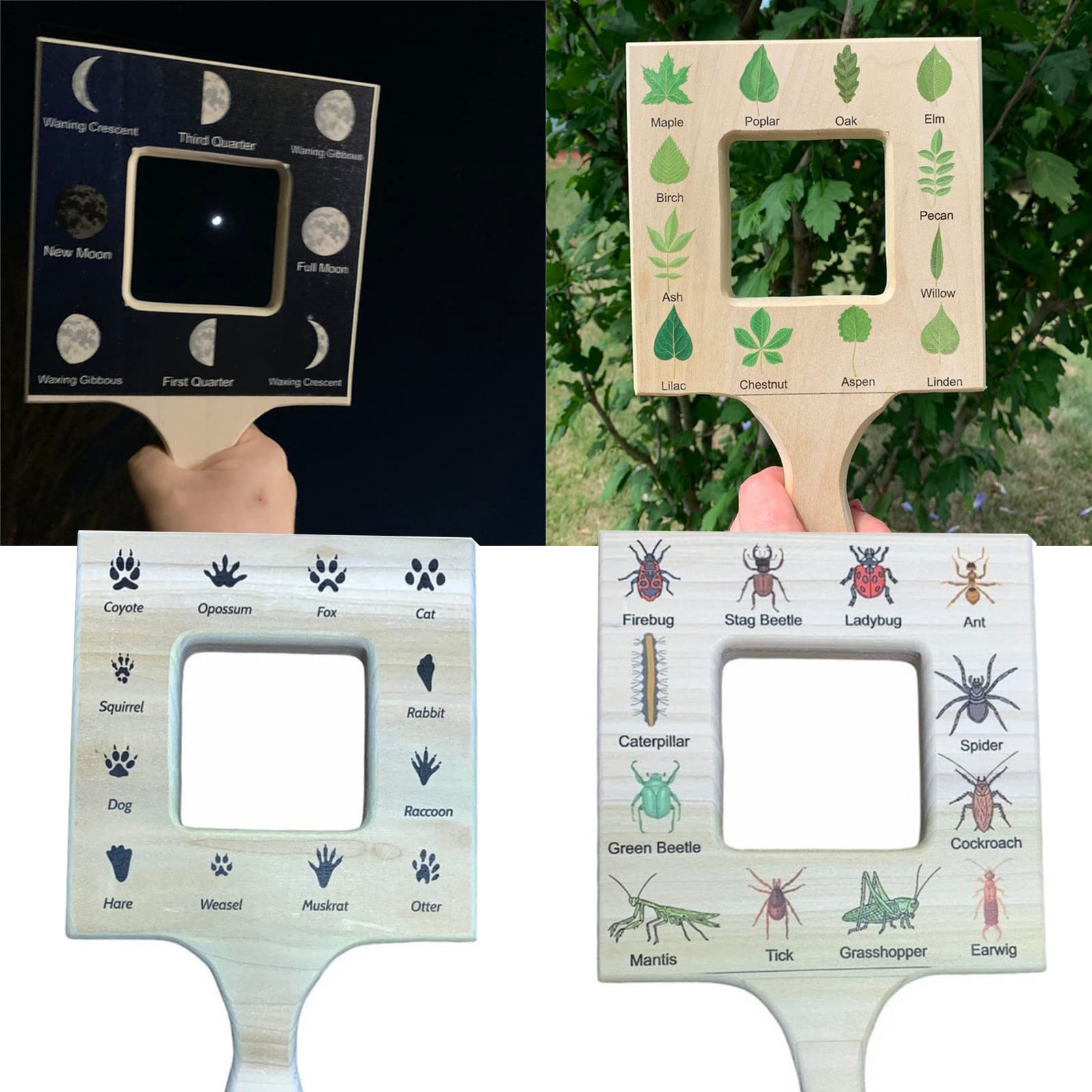 Buy Nature Guide Finder, Wooden Frame, Leaf Finder, Cloud Viewer ...